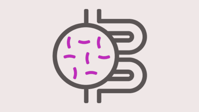 Immunology - Bristol Myers Squibb