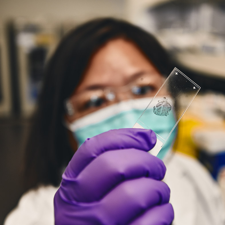 Global Biopharmaceutical Company - Bristol Myers Squibb