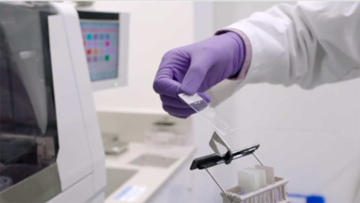 Welcome to BMS California - Bristol Myers Squibb