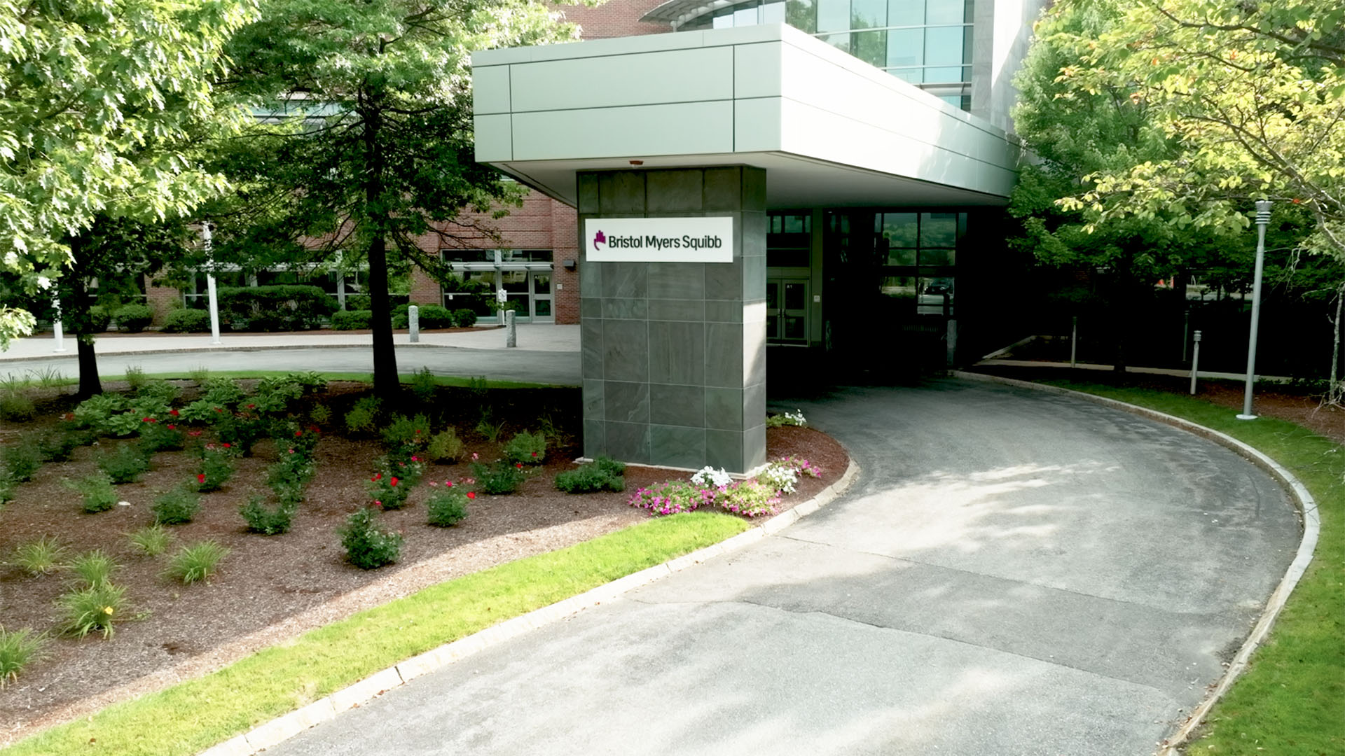 Welcome to BMS Massachusetts - Bristol Myers Squibb