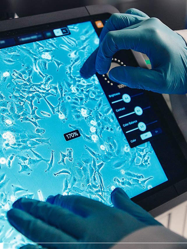 Global Biopharmaceutical Company - Bristol Myers Squibb