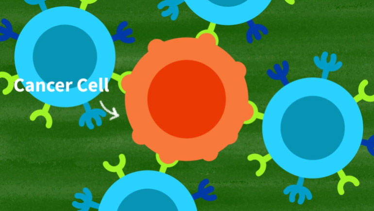 Cell therapy Resources - Bristol Myers Squibb