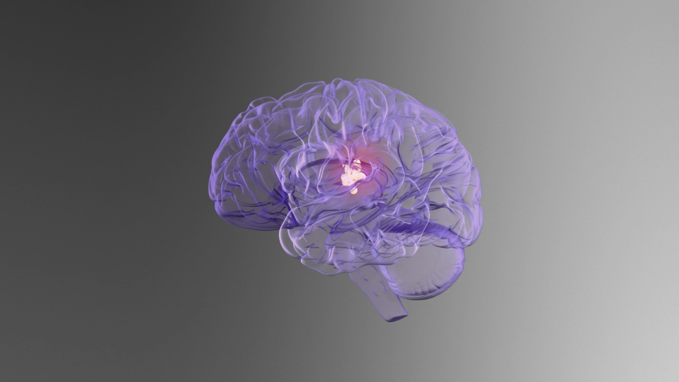 A look inside: Accelerating neuroscience research with neuroimaging ...