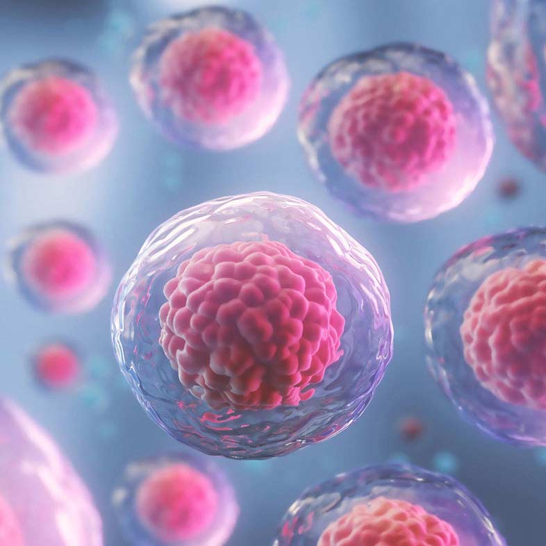 Global Biopharmaceutical Company - Bristol Myers Squibb