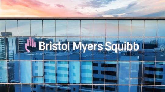 IT, drug development and GBO - BMS Hyderabad - Bristol Myers Squibb