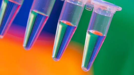 Our research in cardiovascular - Bristol Myers Squibb