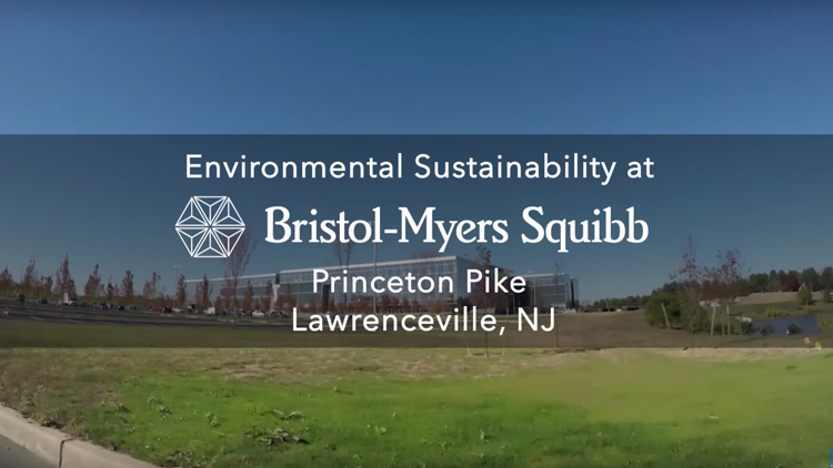 Contributing to a Healthy Environment