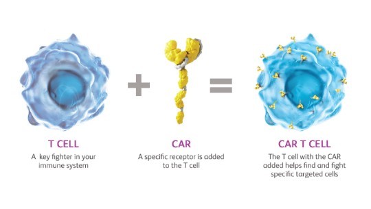 Cell therapy Resources - Bristol Myers Squibb