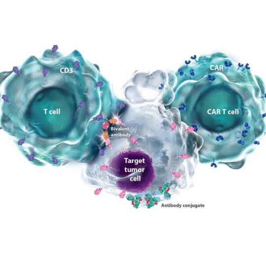 Welcome to BMS Massachusetts - Bristol Myers Squibb