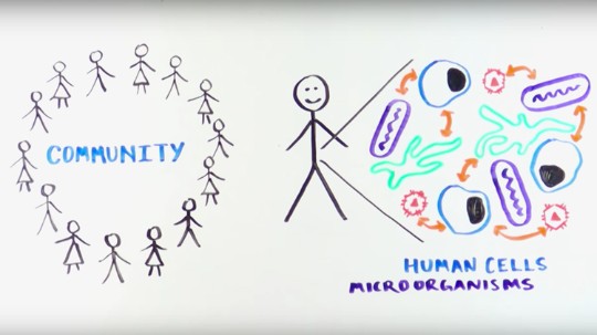 The Gut Microbiome and Cancer Treatment - Bristol-Myers Squibb